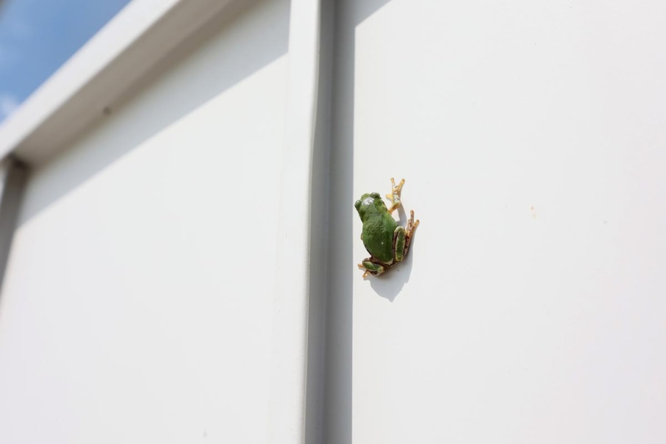 東川のジャム＆カフェTam Jam！ジャム作りと子どもに優しいレストランの夢実現 | いえズーム（iezoom）